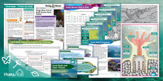 Coral Reef Ecosystem Brochure Great Barrier Reef Wikipedia