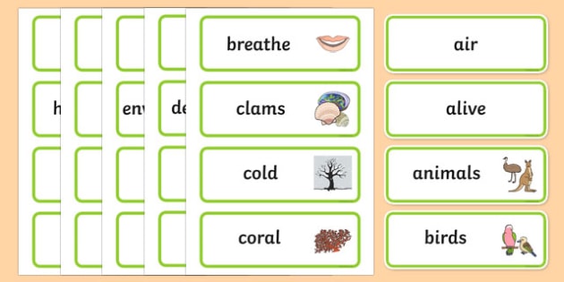 Staying Alive Word Wall Display Cards