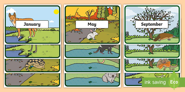 Australian Animals Months of the Year and Seasons Display Posters