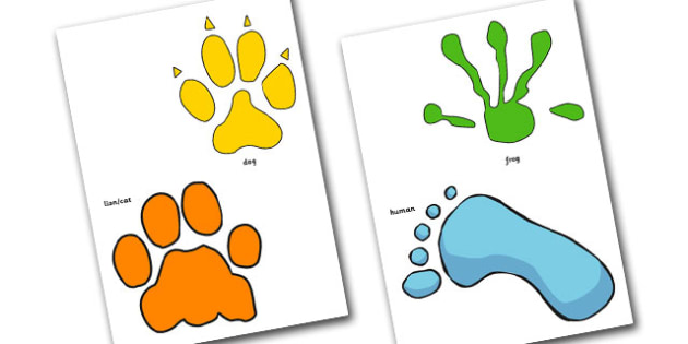 FREE! - Animal Footprint Cut Outs (teacher made)