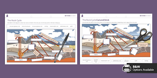 Rock Cycle Worksheet Label The Diagram