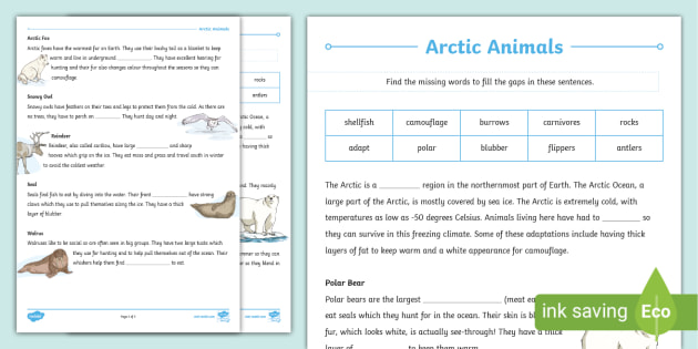 Arctic Animals Word Cloze Activity (teacher made)
