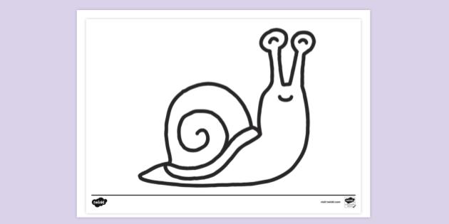 Cute Minibeasts | twinkl.com.au