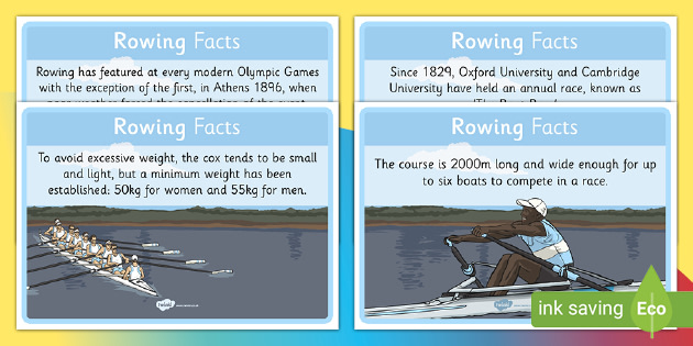 Rowing Display Facts (teacher made)