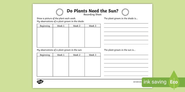 Do Plants Need the Sun? Experiment (teacher made)