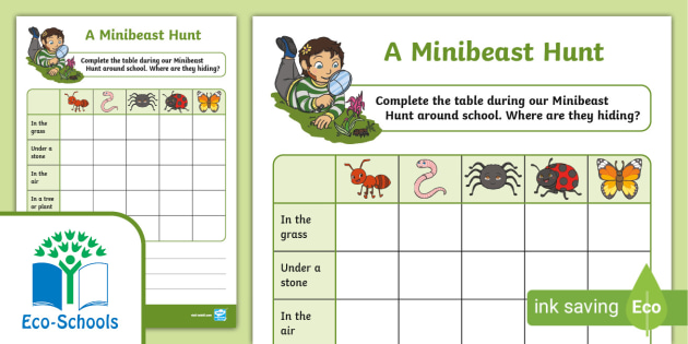 A Minibeast Hunt (teacher made)