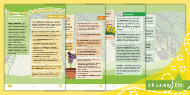 Gardening Guide: What to Plant in February (teacher made)