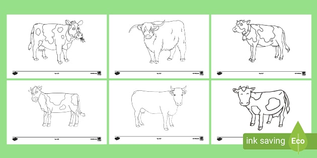 FREE! - Cow Template - Colouring Pages - Educational Resources