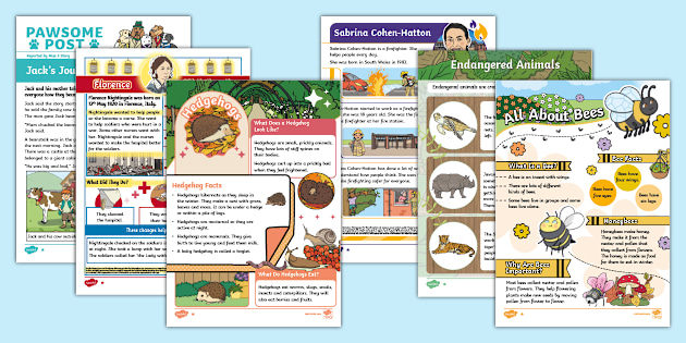 May Reading Comprehensions | twinkl.com.au