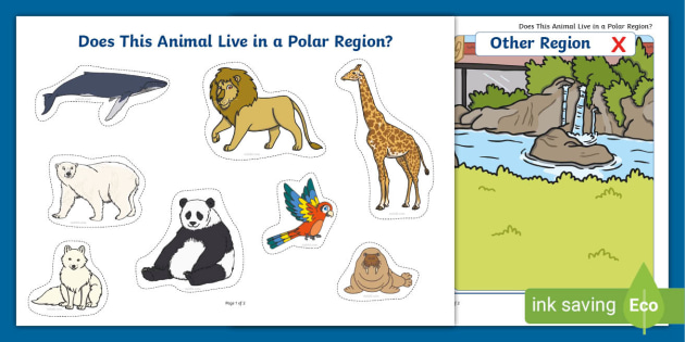 Polar Animals Cut and Stick Activity | CfE Early Level
