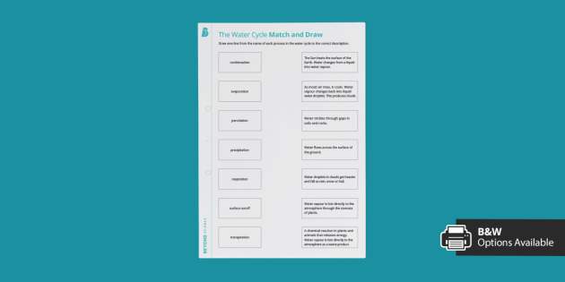 The Water Cycle Biology Match and Draw | Beyond