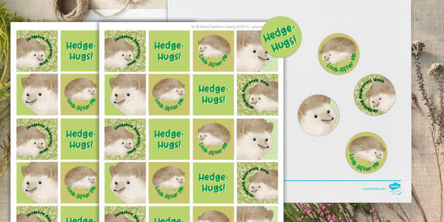 Hedgehog Awareness Week - Printable Stickers (teacher made)