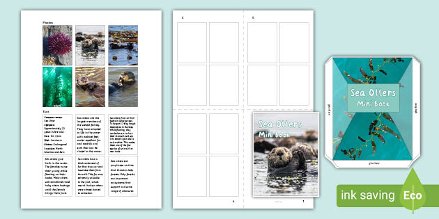 Sea Otters Mini Book | educational activity for 6-year-olds