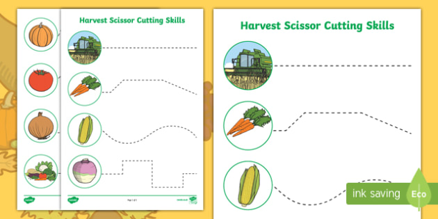 Harvest Themed Cutting Skills Worksheet / Worksheets
