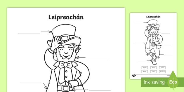 Label the Leprechaun Gaeilge Worksheet / Worksheet Gaeilge