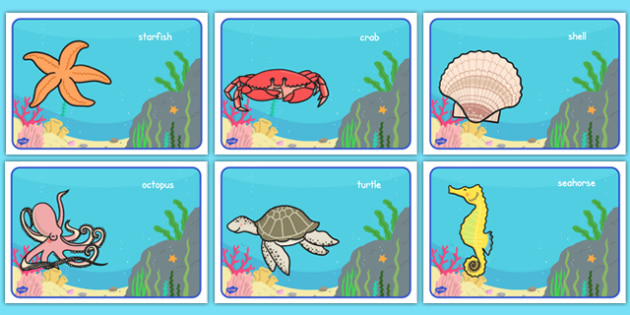 FREE! - 👉 Under the Sea Class Group Signs Editable