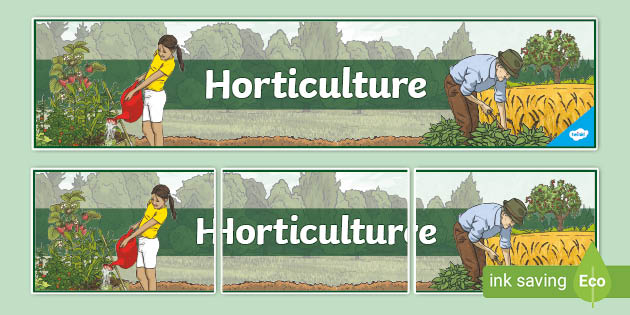 Horticulture Display Banner - KS2 - Twinkl