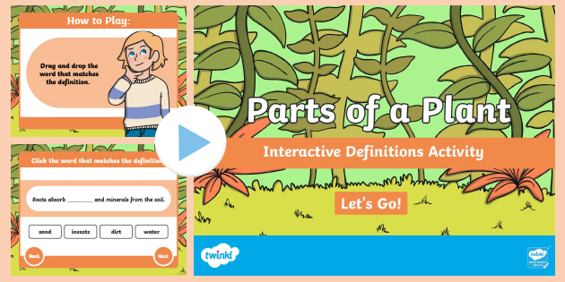 Parts of a Plant Interactive Definitions Activity