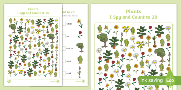 Plants I Spy and Count to 20 (Teacher-Made)