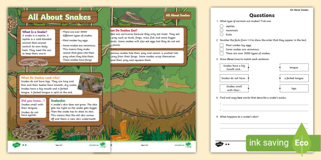 KS1 All About Snakes Differentiated Reading Comprehension Activity