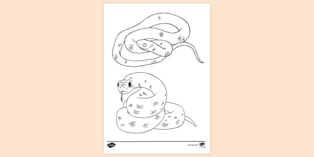 FREE! - Snake Colouring | Colouring Sheets (teacher made)