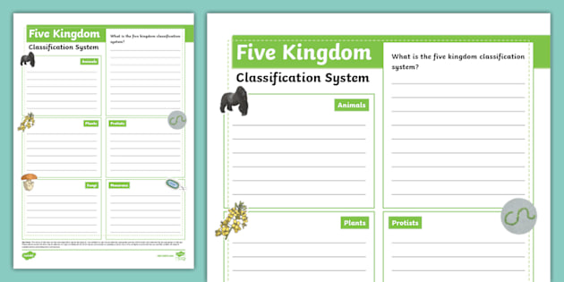 Classification Systems | twinkl.co.uk