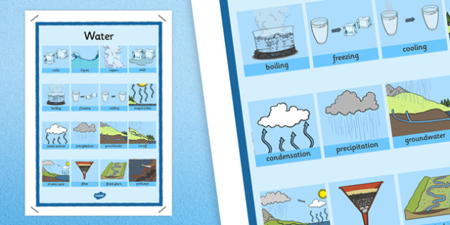 Water Word Grid (teacher made)
