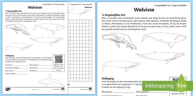 'n Ongelooflike Feit 'n Dag Suid-Afrika - Walvisse