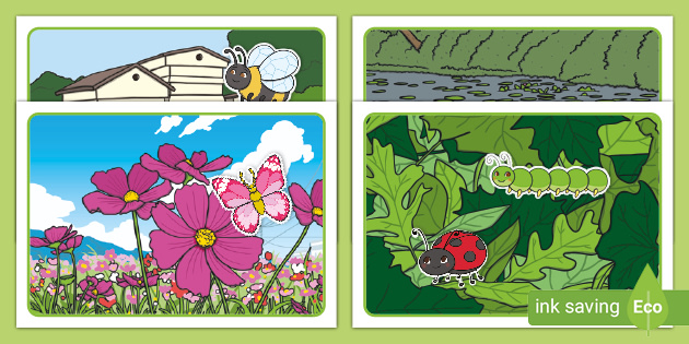 Minibeast Habitat Sorting Activity