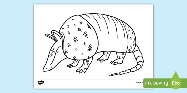 Armadillo Colouring Sheet - Primary Resources