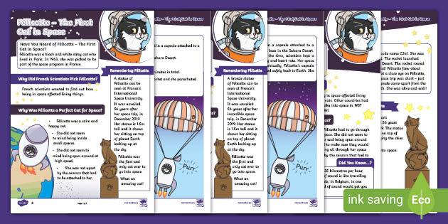 Félicette – The First Cat in Space Differentiated Fact File