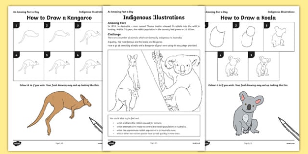 How to Draw a Kangaroo and Koala | Illustrations Worksheet