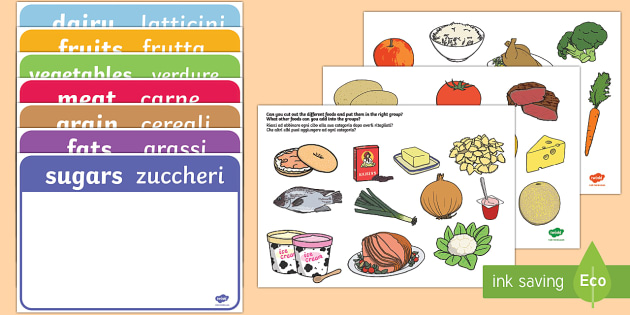 Food Group Sorting Activity - Food Group Sorting Activity