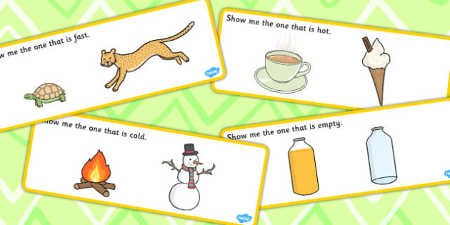 'Show Me the...' Basic Concept Cards Activity