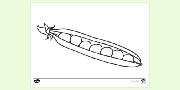 Pea Pod Colouring | Colouring Sheets