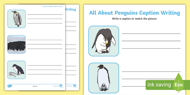 All About Penguins Caption Writing Activity (teacher made)