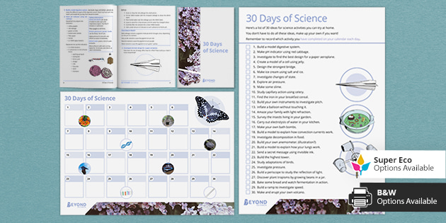 30 Days of Science Activities Bundle | KS3 Science | Beyond