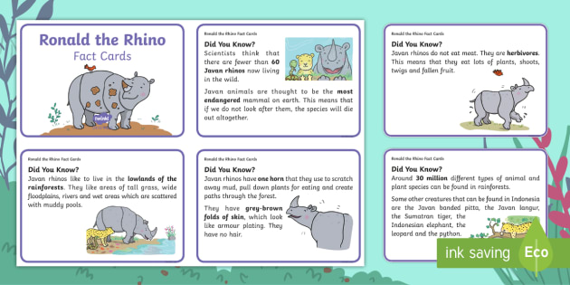 FREE! - Ronald the Rhino Fact Cards (teacher made)
