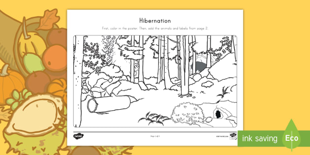 Hibernation Cut and Color Worksheet / Activity Sheet - Fall
