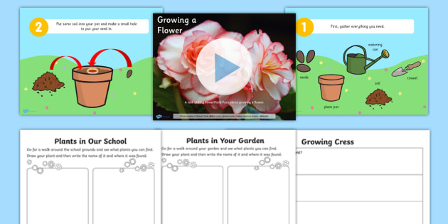 Growing a Flower Task Setter Activity Powerpoint with Worksheet