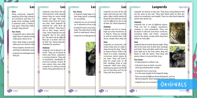 Leopards Differentiated Fact File