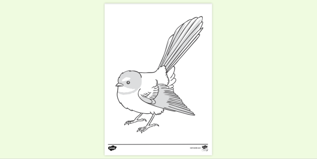 FREE! - Fantail Bird Colouring Sheet (teacher made)