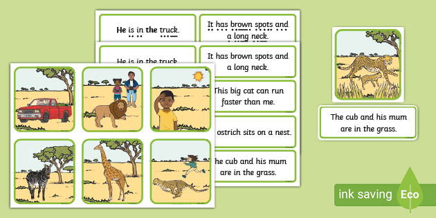 Safari Simple Sentence Matching Activity (teacher made)