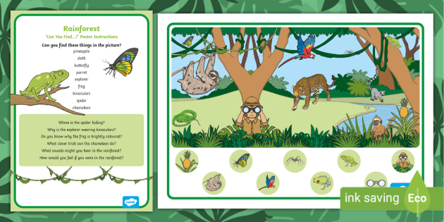 Rainforest Can You Find...? Poster and Prompt Card Pack