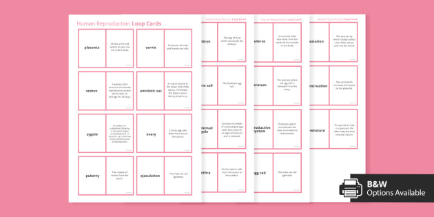 Human Reproductive System Loop Cards (teacher made)
