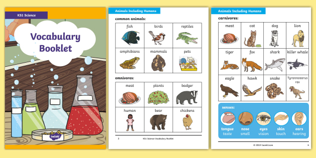 KS1 Science Vocabulary Booklet (teacher made)