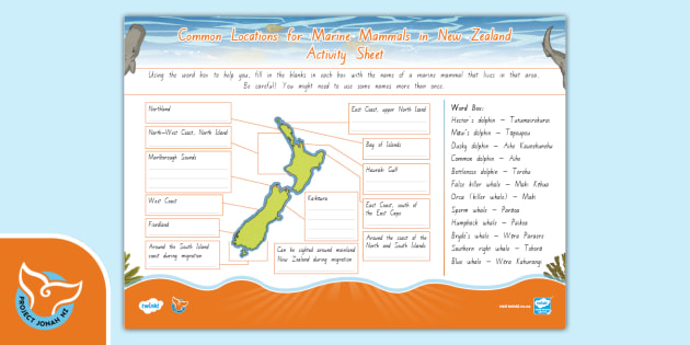 FREE! - Common Locations for Marine Mammals in NZ Activity Sheet