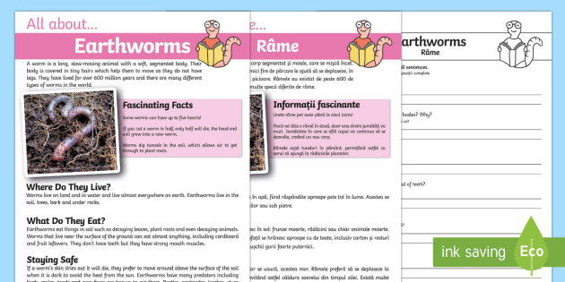 Earthworm Reading Comprehension Pack English/Romanian - Earthworm Reading