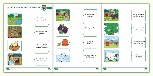 Phonics: Level 4: Spring Pictures and Sentences Worksheets