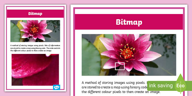 Bitmap Display Poster (teacher made)